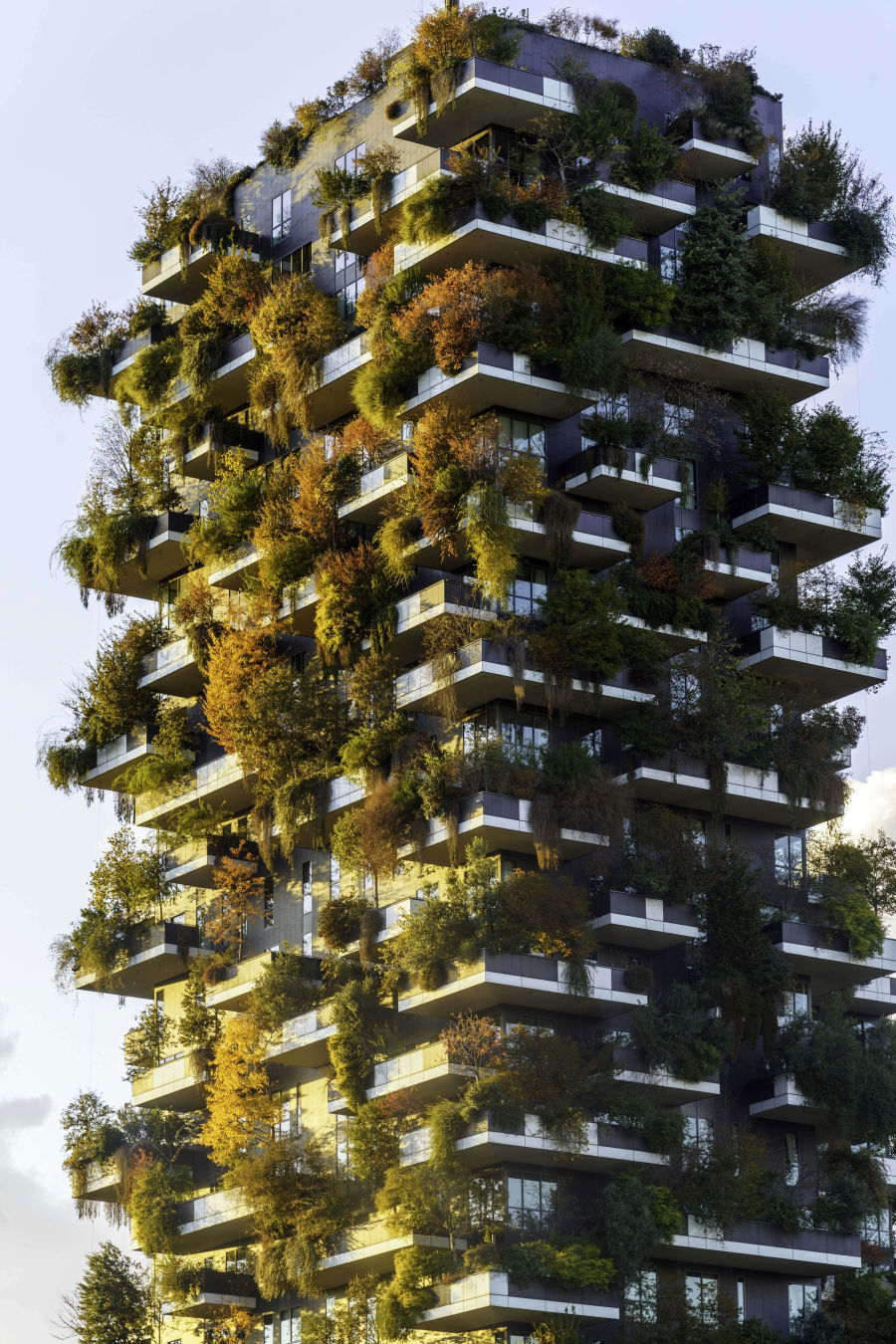 Buildings & biodiversity: Europe’s top 10 - CFP Green Buildings