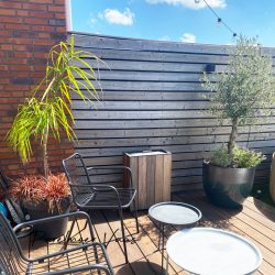 Boompje of bolboompje op stam in een pot in de voortuin kleine tuin!