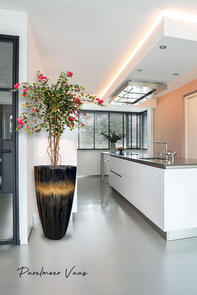 Boompje of bolboompje op stam in een pot in de voortuin kleine tuin!