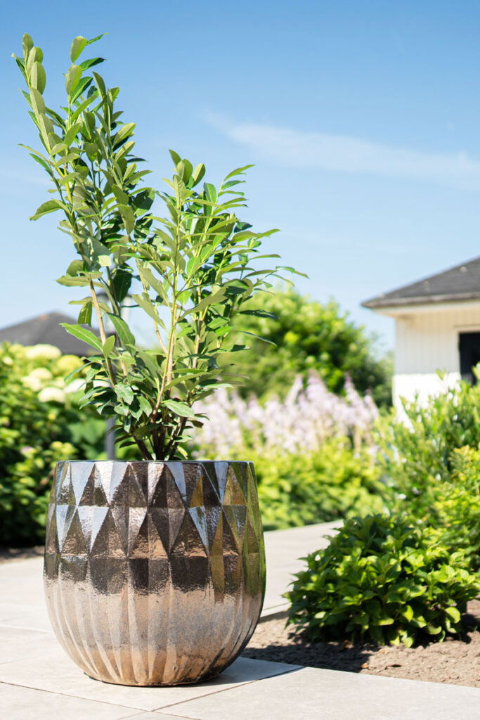 SAMPLE SALE - Goedkope bloempotten & plantenbakken buiten