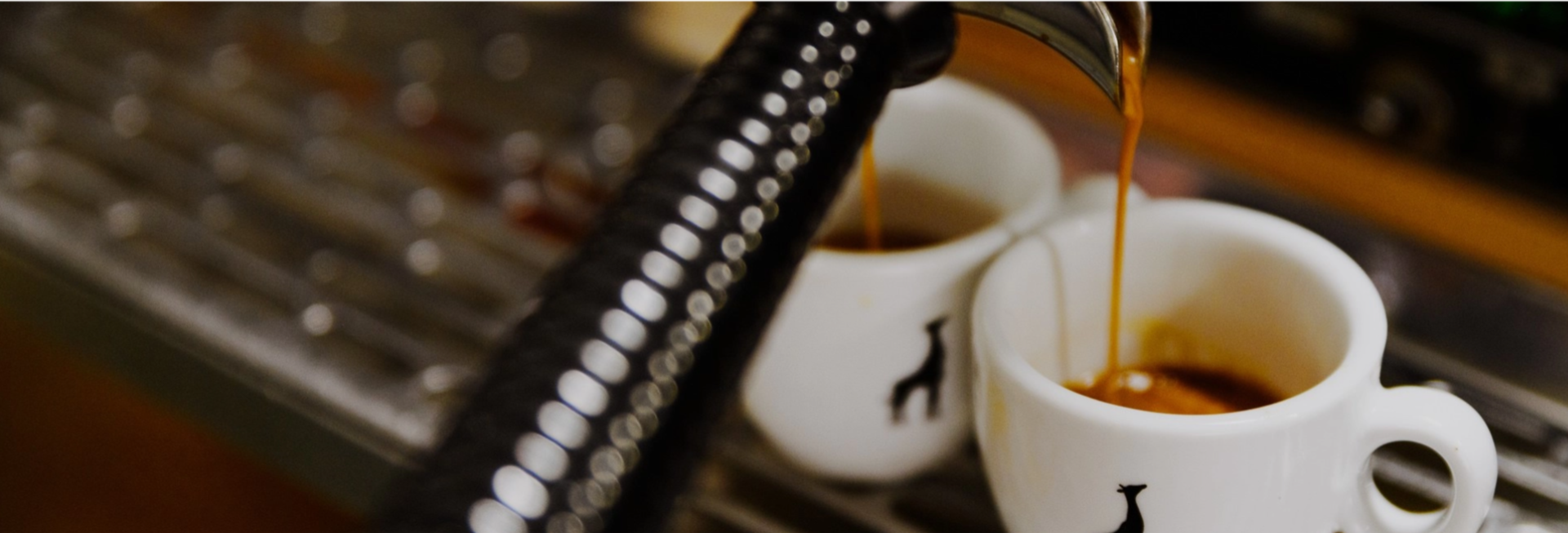 Reference - Giraffe coffee - The Productivity Company